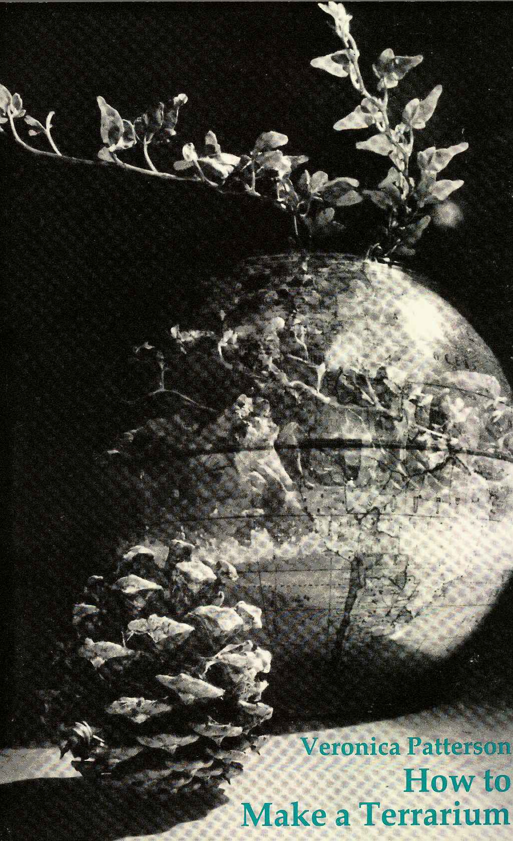 How to Make a Terrarium by Veronica Patterson | Goodreads