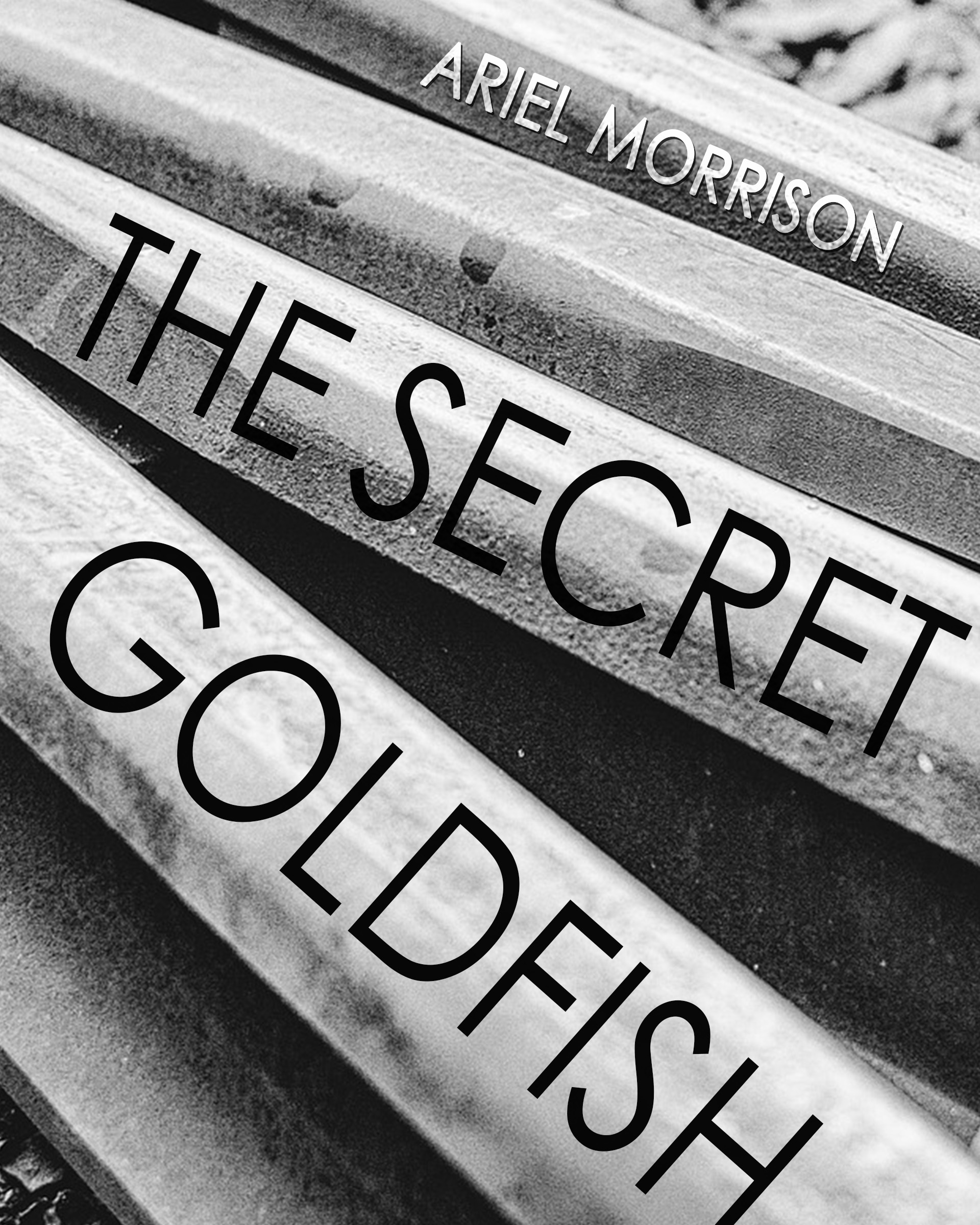 The Secret Goldfish by Ariel Morrison | Goodreads