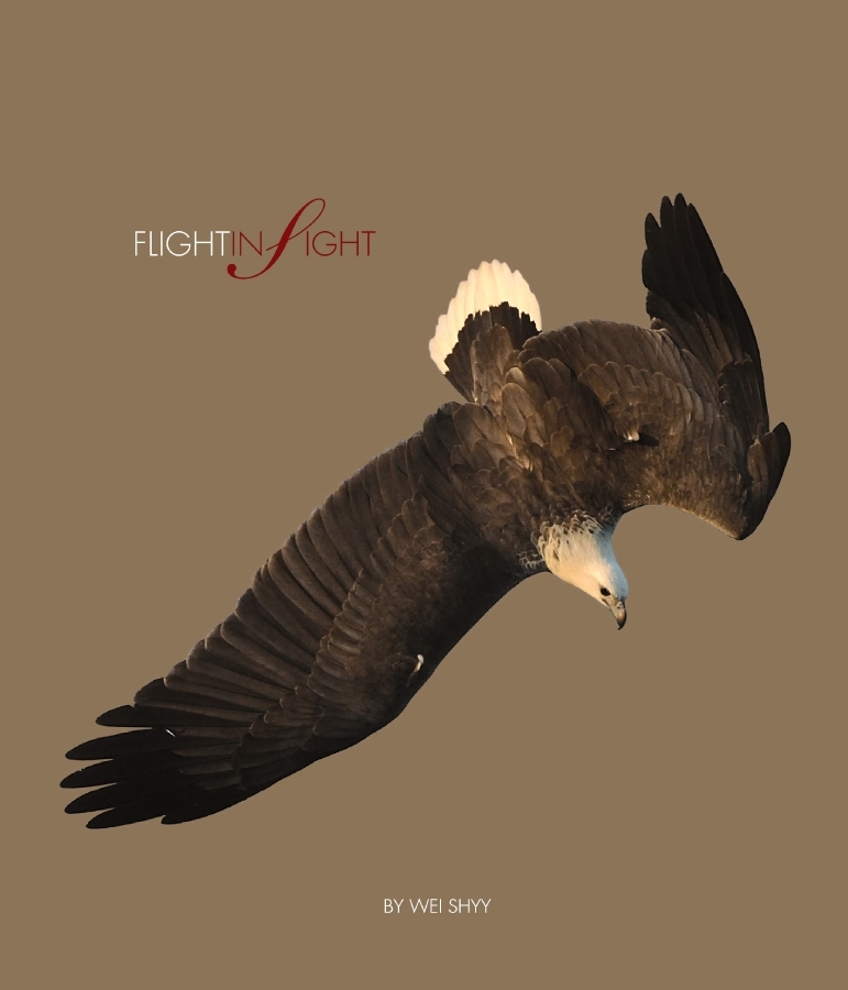 Flight Insight by Wei Shyy | Goodreads