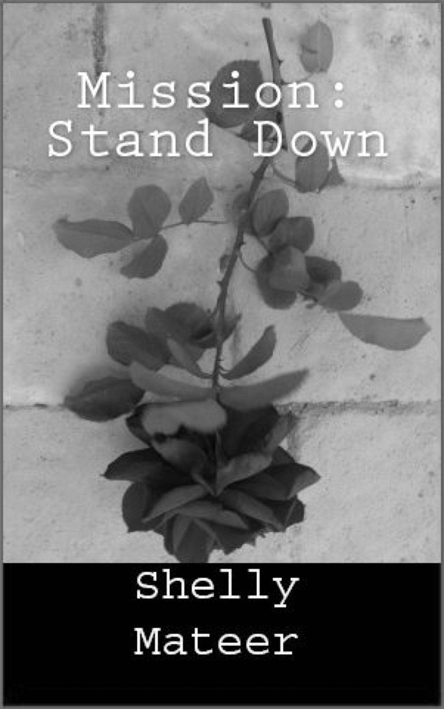 Mission: Stand Down by Shelly Mateer | Goodreads