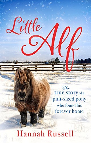 Little Alf: The true story of a pint-sized pony who found his forever ...