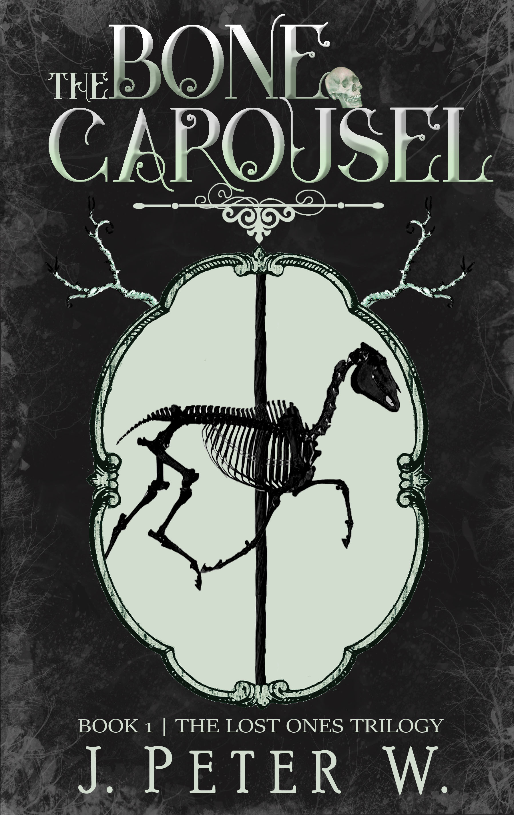 The Bone Carousel (The Lost Ones Trilogy Book 1) by J. Peter W. | Goodreads
