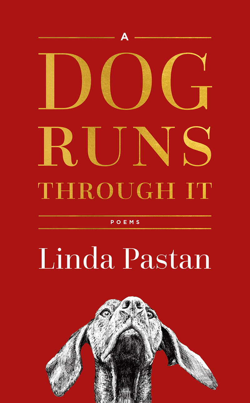 A Dog Runs Through It: Poems by Linda Pastan | Goodreads
