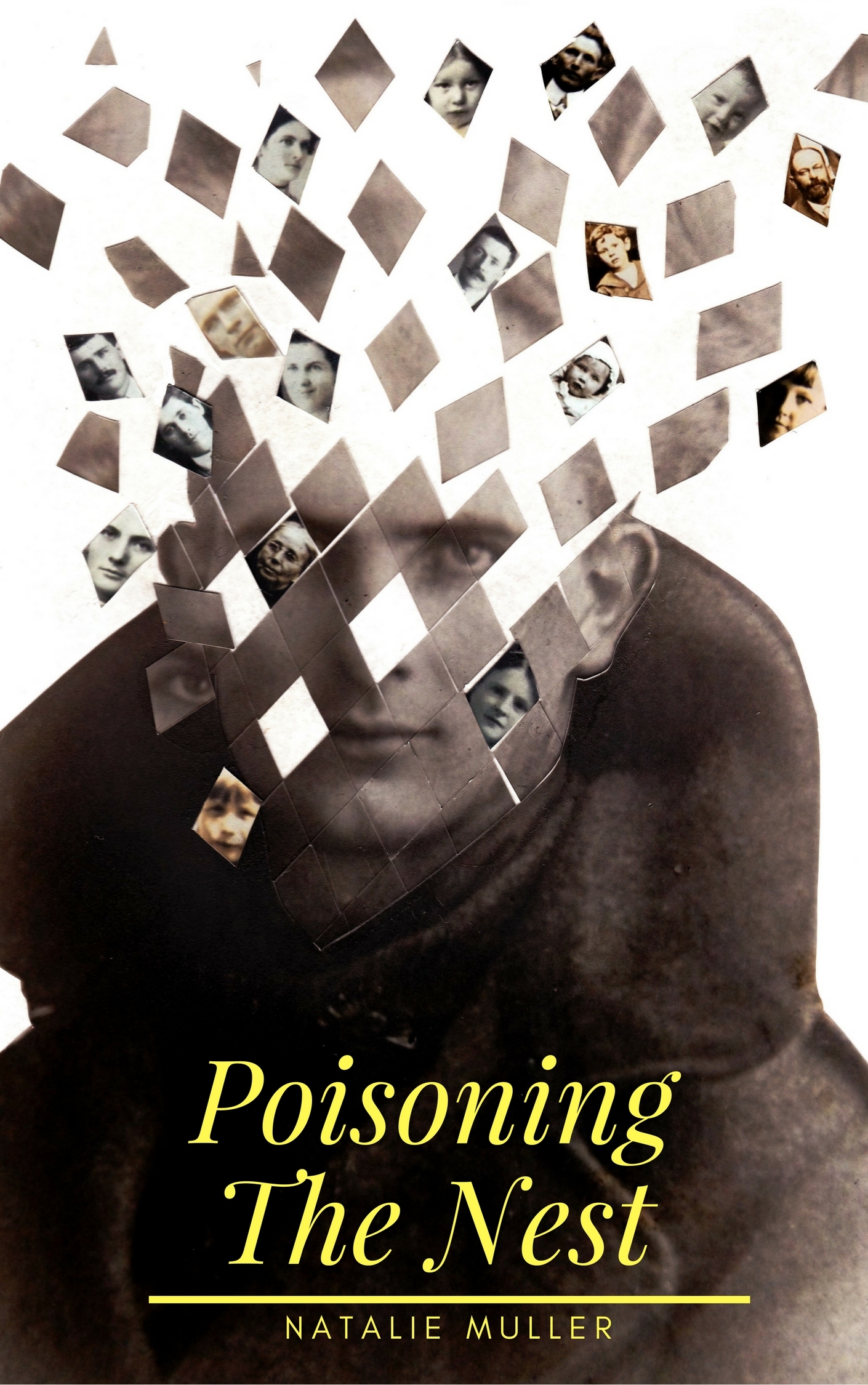 Poisoning the Nest by Natalie Muller | Goodreads