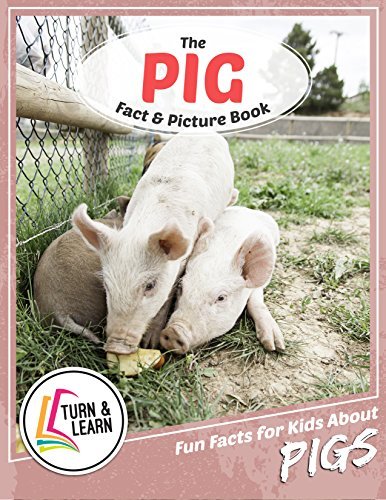 The Pig Fact and Picture Book: Fun Facts for Kids About Pigs by Gina ...