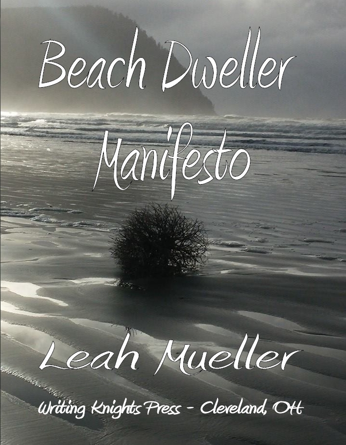 Beach Dweller Manifesto by Leah Mueller | Goodreads