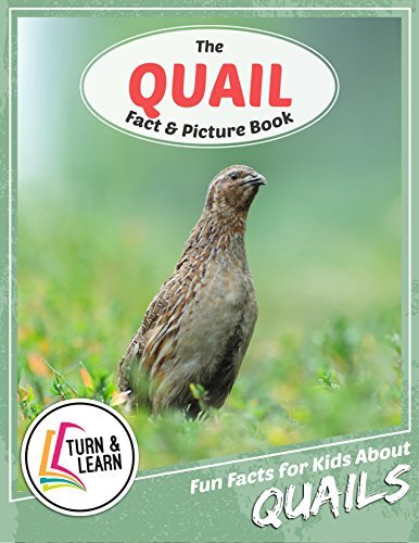 The Quail Fact and Picture Book: Fun Facts for Kids About Quails by ...