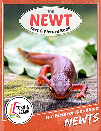 The Newt Fact and Picture Book: Fun Facts for Kids About Newts by Gina ...