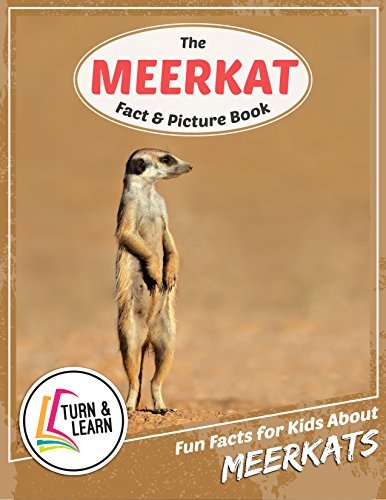 The Meerkat Fact and Picture Book: Fun Facts for Kids About Meerkats by ...