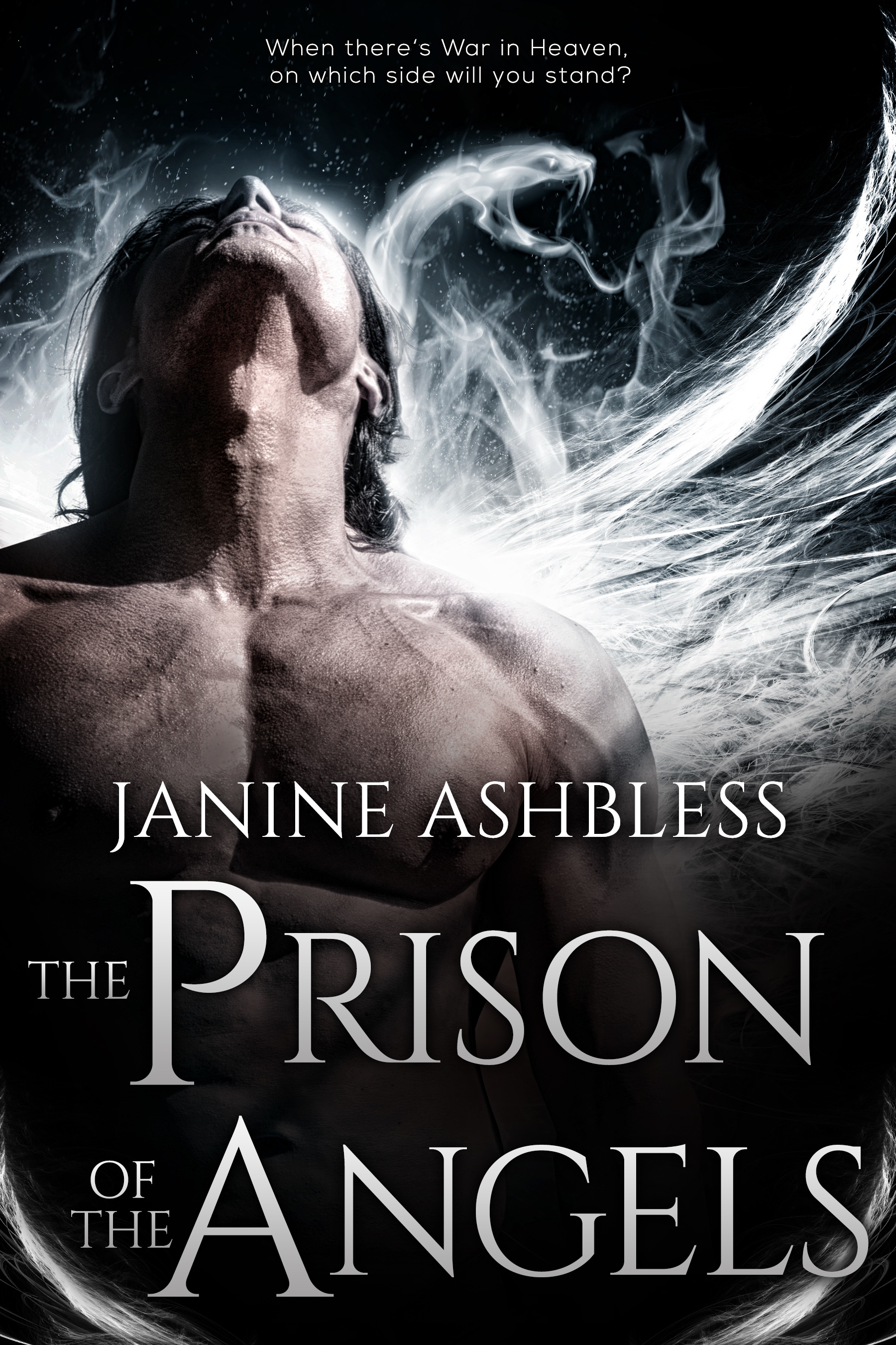 The Prison of the Angels by Janine Ashbless | Goodreads