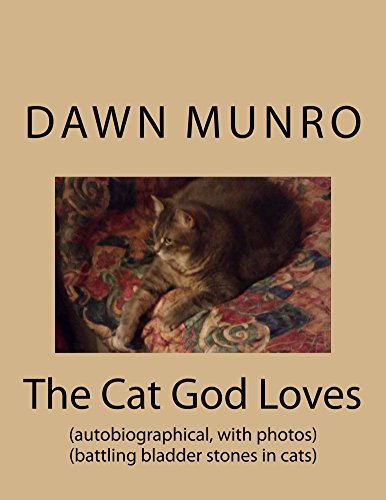 The Cat God Loves: (autobiographical, with photos) by Dawn Munro ...