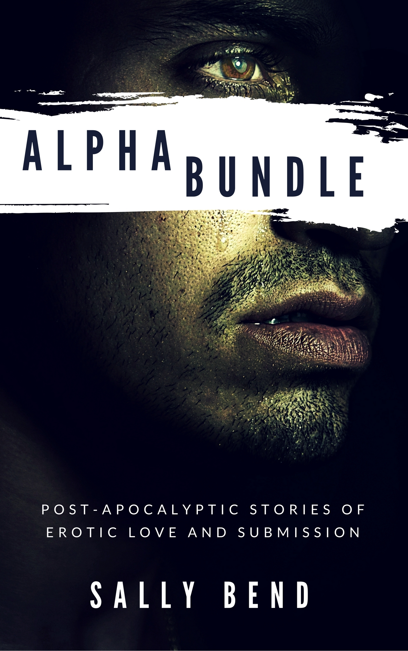 Alpha Bundle: Post-Apocalyptic Stories by Sally Bend | Goodreads