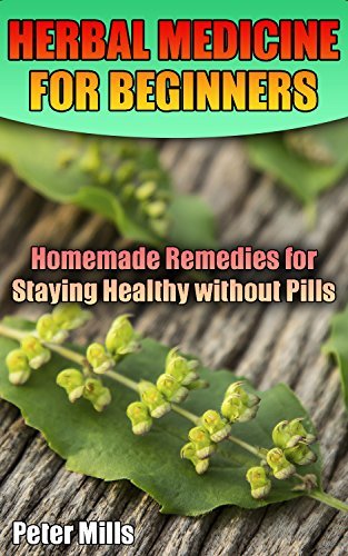 Herbal Medicine for Beginners: Homemade Remedies for Staying Healthy ...