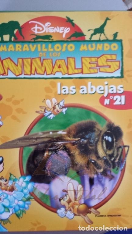 Las abejas by Walt Disney Company | Goodreads