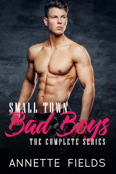 Small Town Bad Boys: The Complete Series by Annette Fields | Goodreads