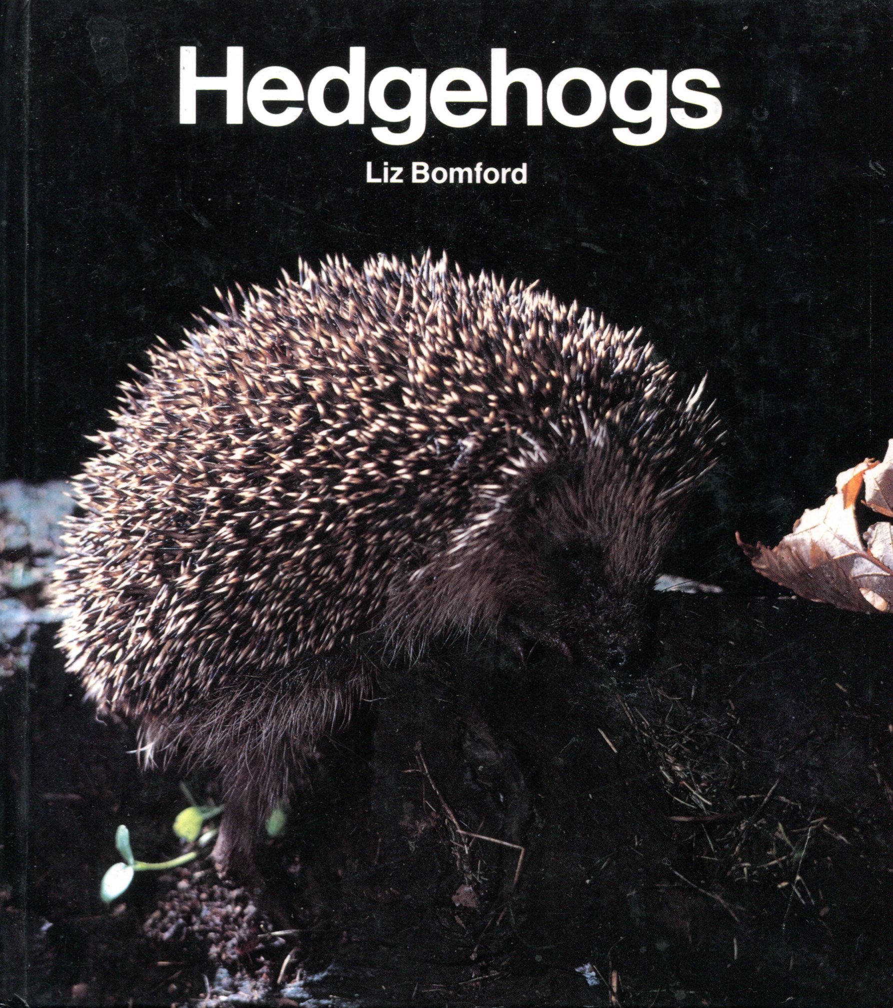 Hedgehogs (Nature in Close Up) by Liz Bomford | Goodreads