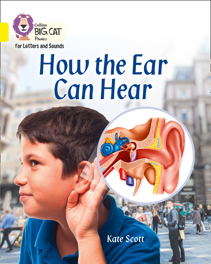 How the Ear Can Hear by Kate Scott | Goodreads