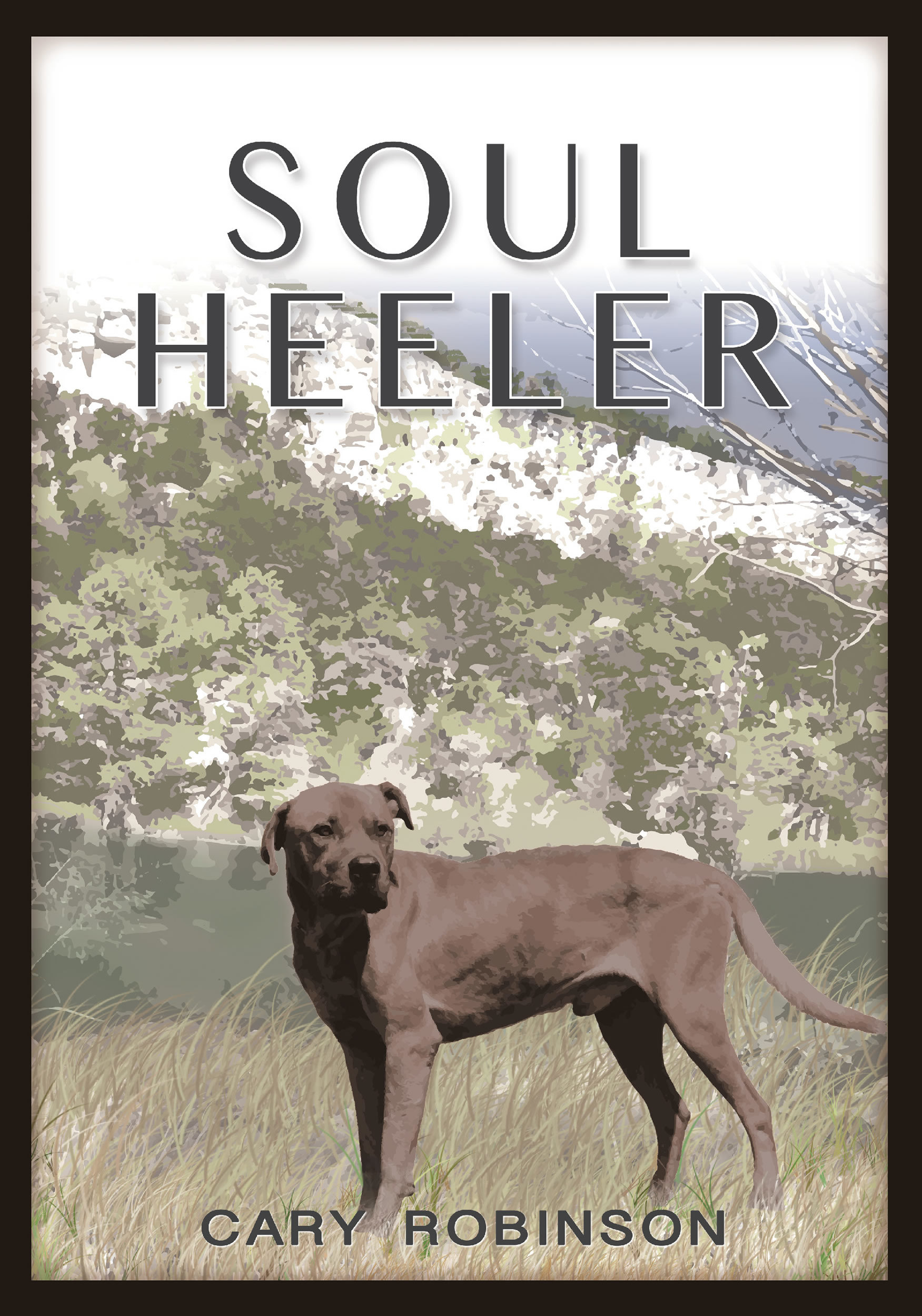 Soul Heeler by Cary Robinson | Goodreads