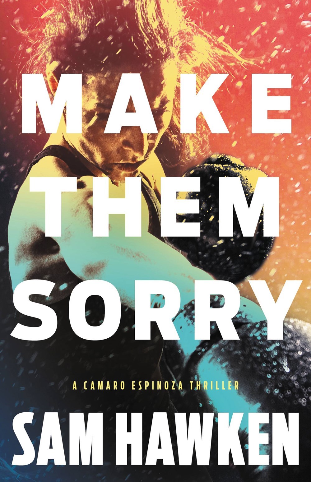 Make Them Sorry (Camaro Espinoza #3) by Sam Hawken | Goodreads