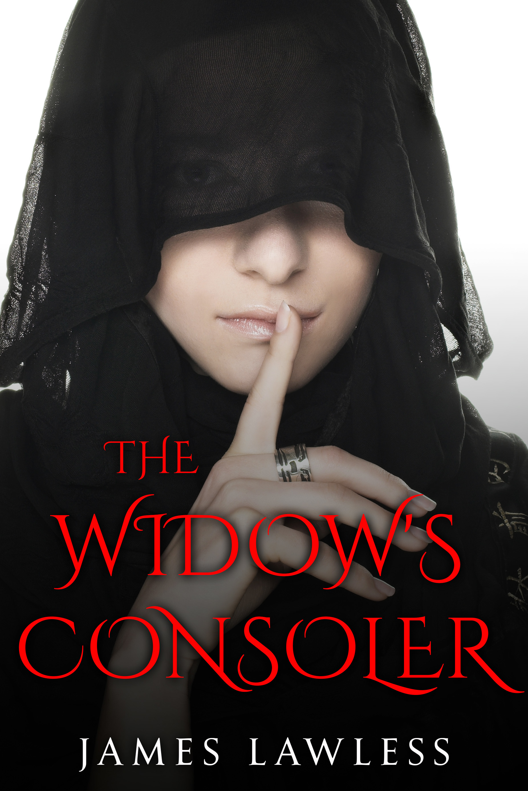 The Widow's Consoler by James Lawless | Goodreads
