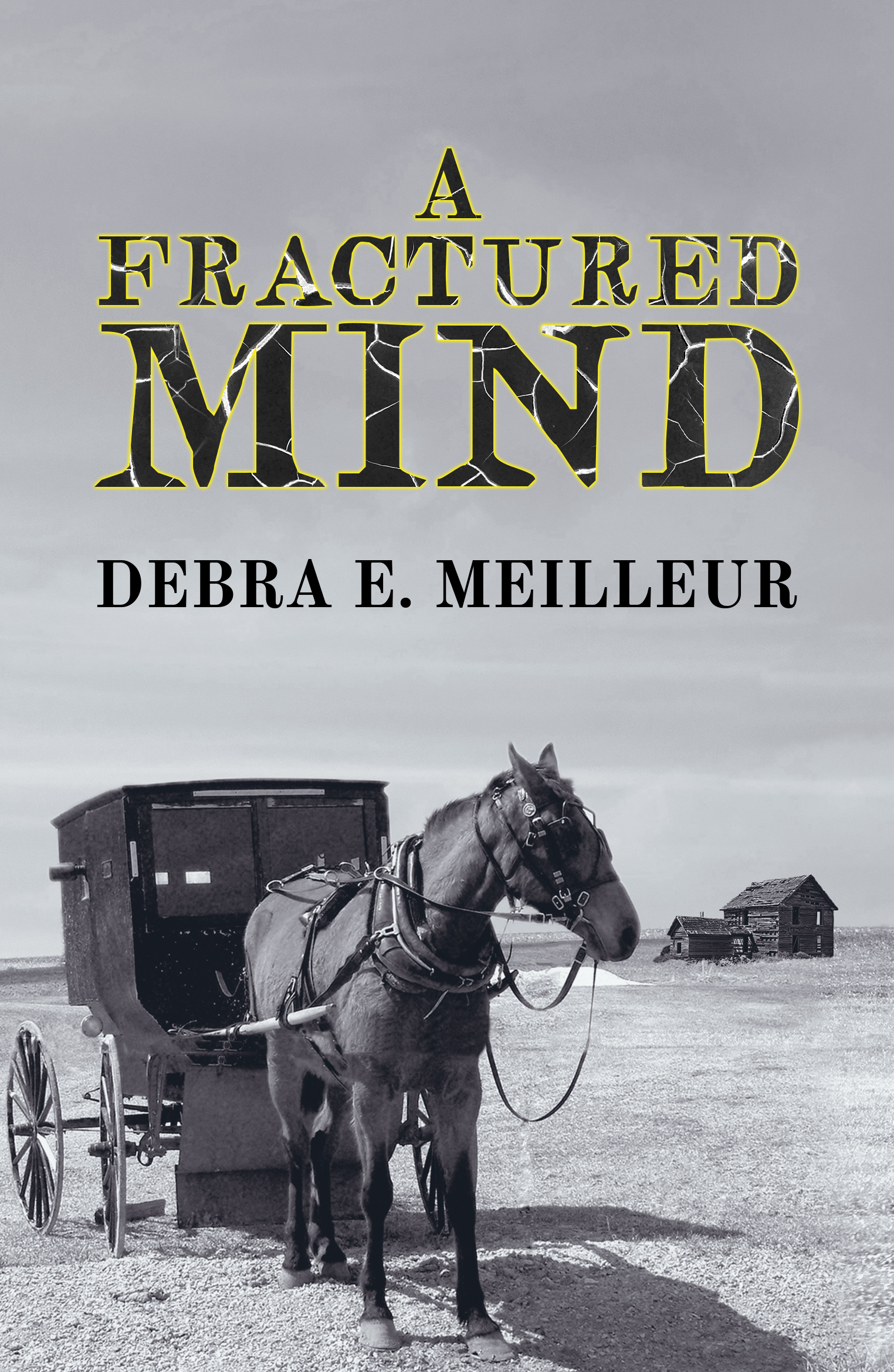 A Fractured Mind by Debra E. Meilleur | Goodreads