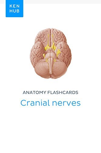 Anatomy flashcards: Cranial nerves: Learn all nerves on the go by ...