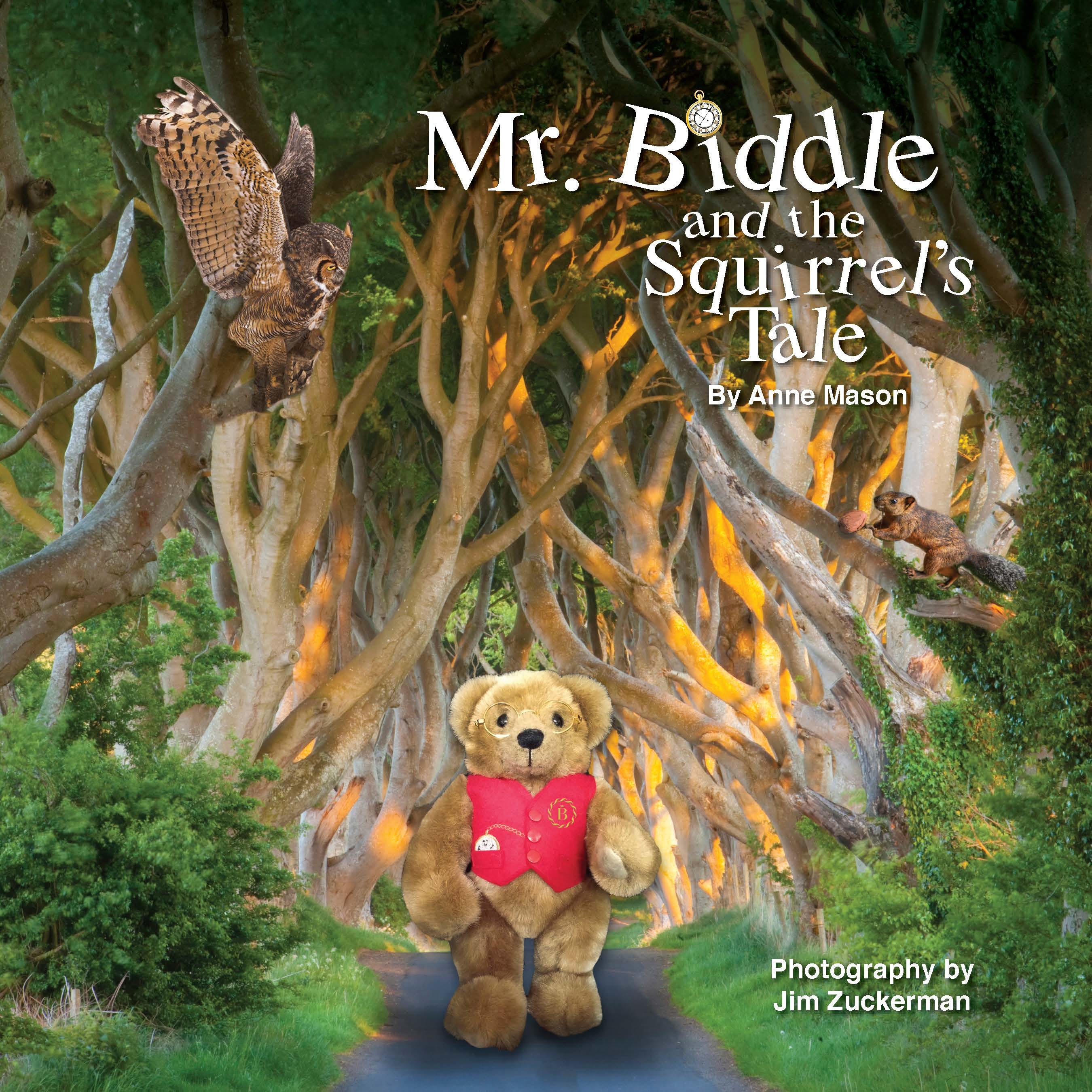 Mr. Biddle and the Squirrel's Tale by Anne Mason | Goodreads