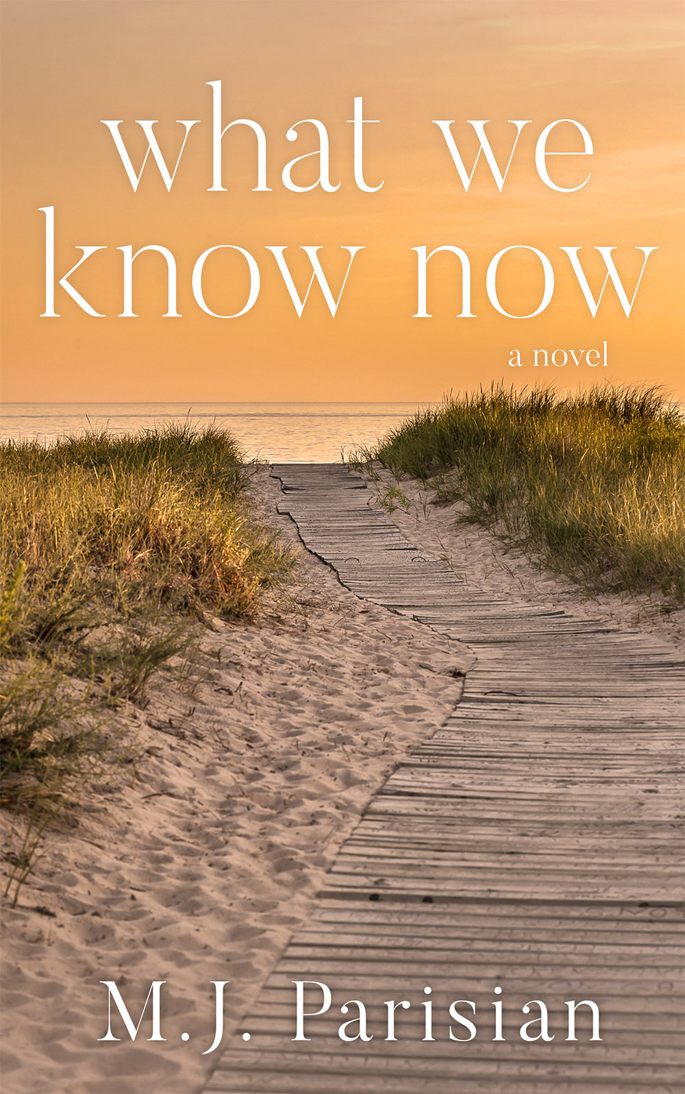 What We Know Now by M.J. Parisian | Goodreads
