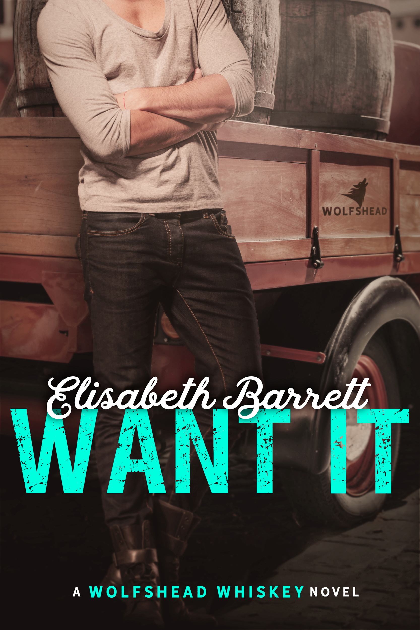 Want It (Wolfshead Whiskey #2) by Elisabeth Barrett | Goodreads
