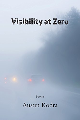 Visibility at Zero by Austin Kodra | Goodreads