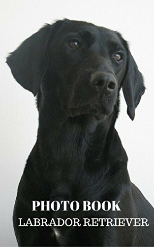 Photo Book : Labrador Retriever by SEAN PIMMY | Goodreads