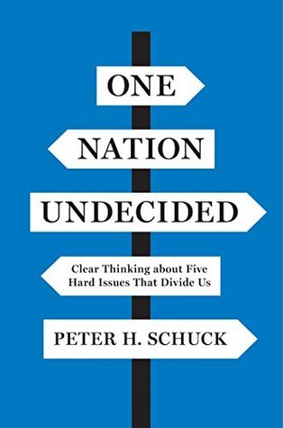 One Nation Undecided: Clear Thinking about Five Hard Issues That Divide ...
