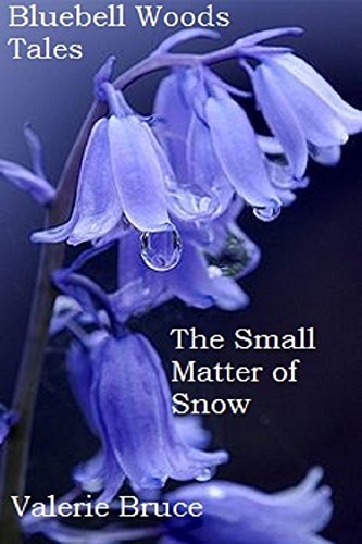 The Small Matter of Snow by Valerie Bruce | Goodreads