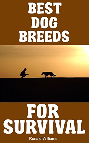Best Dog Breeds For Survival: The Top 10 Dog Breeds Most Likely To Help ...