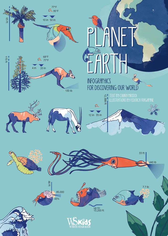 Planet Earth: Infographics for Discovering Our World by Chiara Piroddi ...