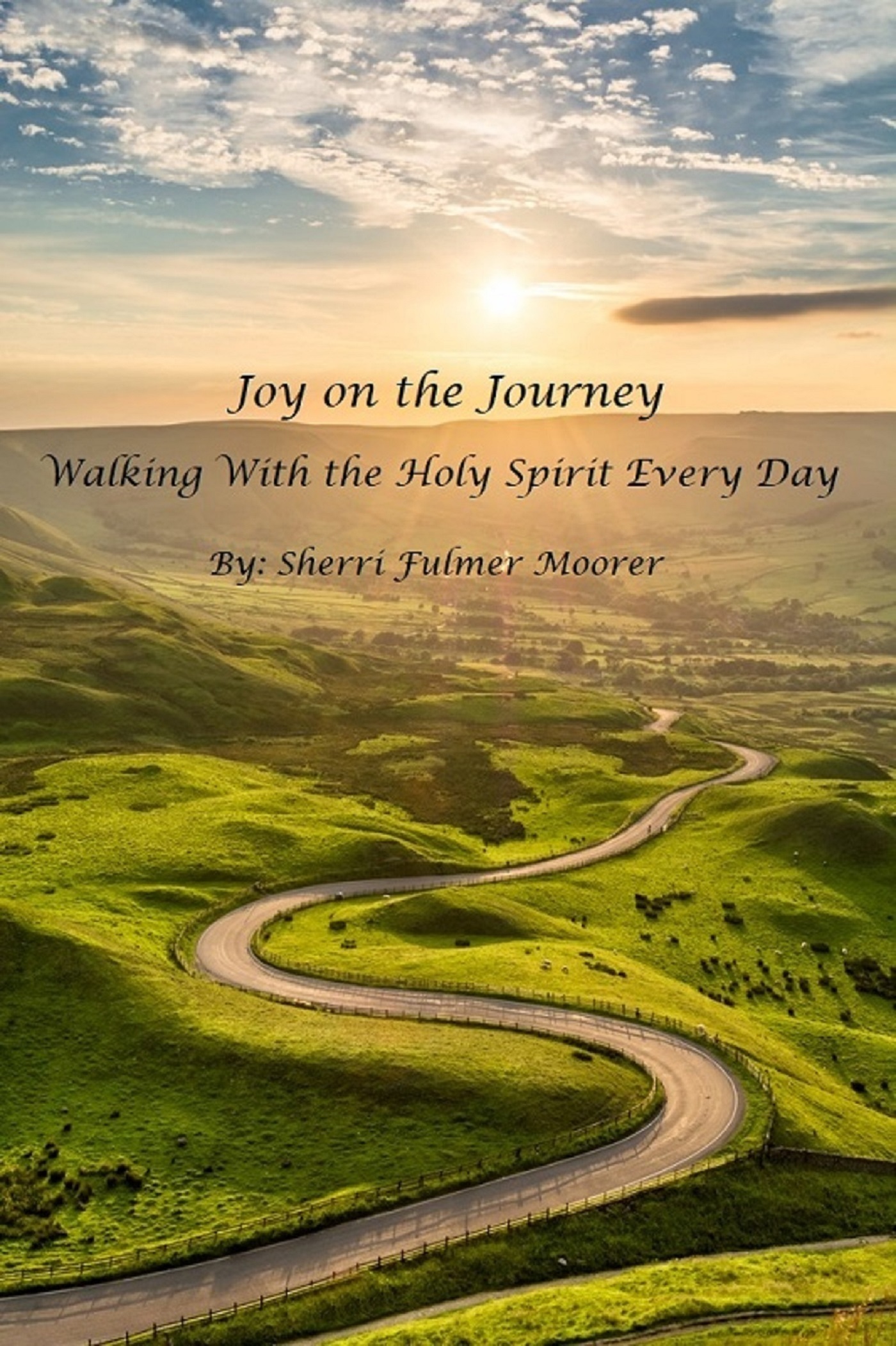 Joy on the Journey: Walking With the Holy Spirit Every Day by Sherri ...