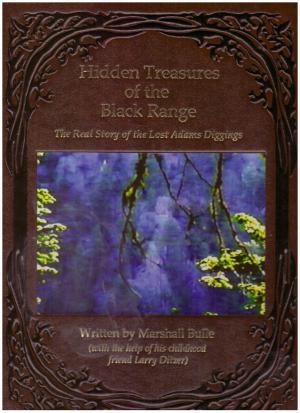 HIDDEN TREASURES OF THE BLACK RANGE; The Real Story of the Lost Adams ...