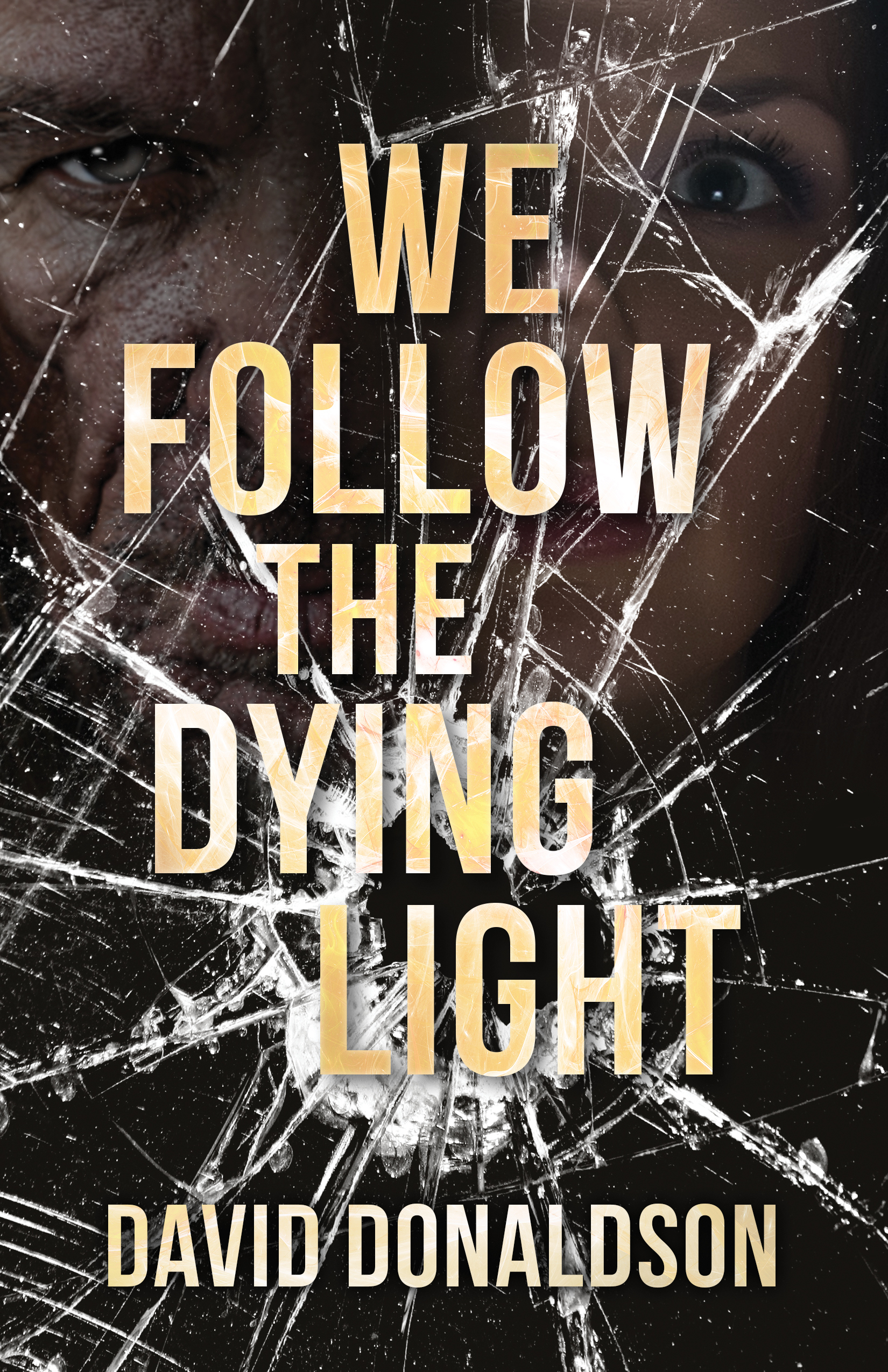 We Follow the Dying Light by David Donaldson | Goodreads