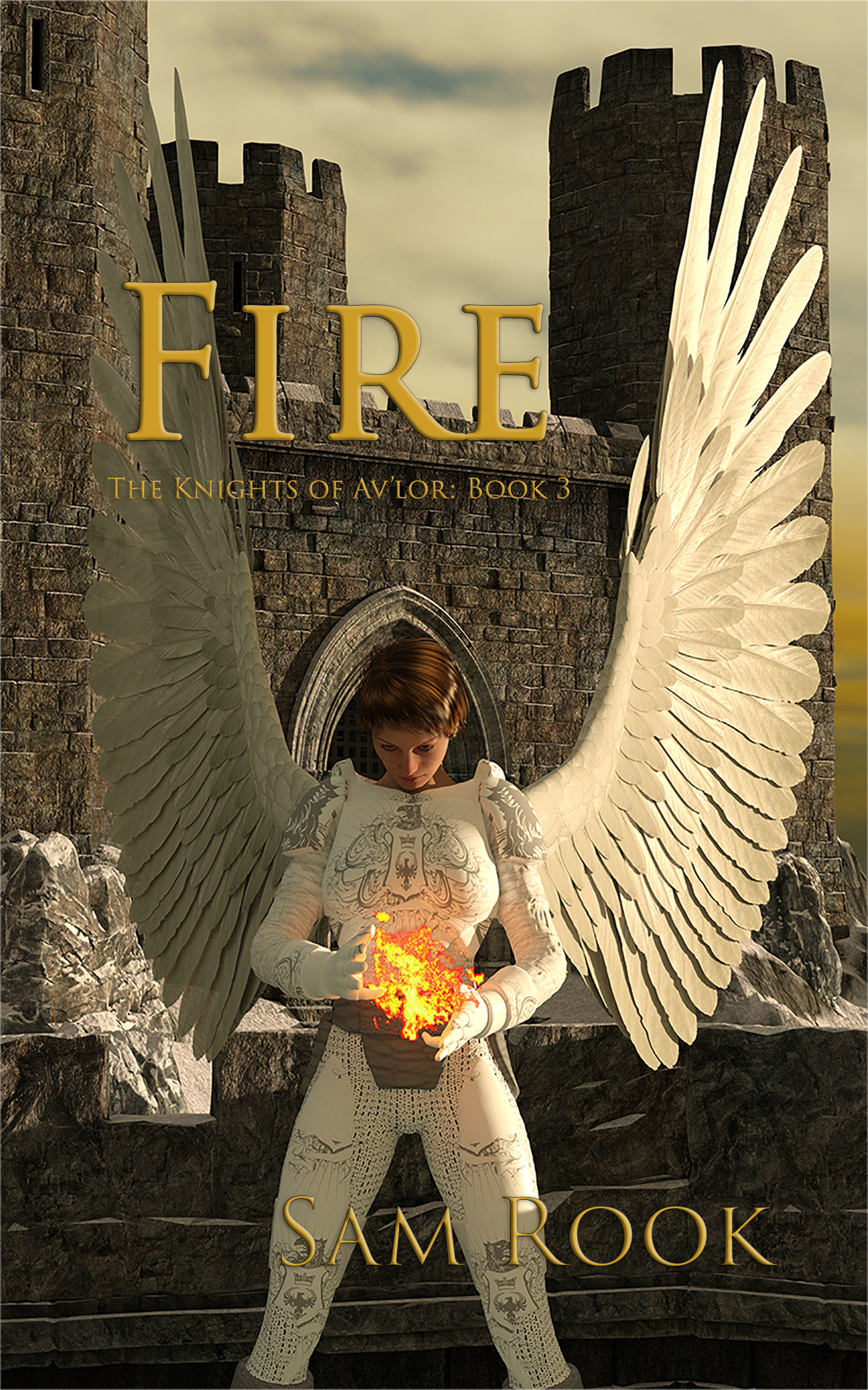 Fire by Sam Rook | Goodreads