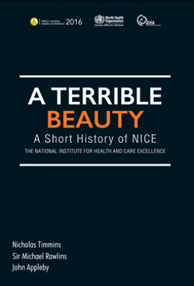 A Terrible Beauty: A Short History of NICE by Nicholas Timmins | Goodreads