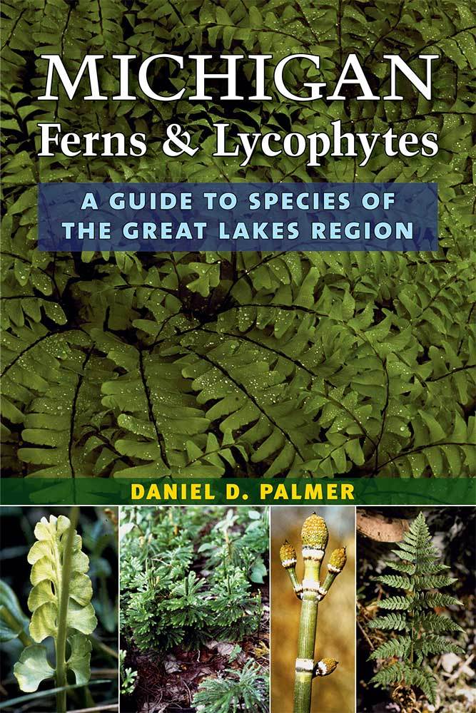 Michigan Ferns and Lycophytes: A Guide to Species of the Great Lakes ...