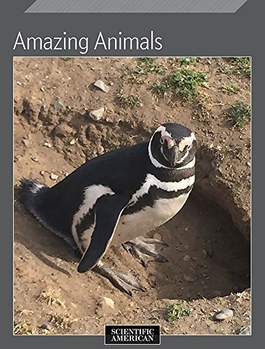 Amazing Animals by Scientific American | Goodreads