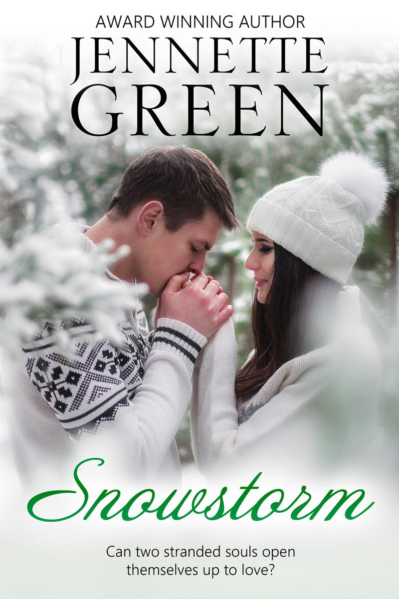 Snowstorm by Jennette Green | Goodreads