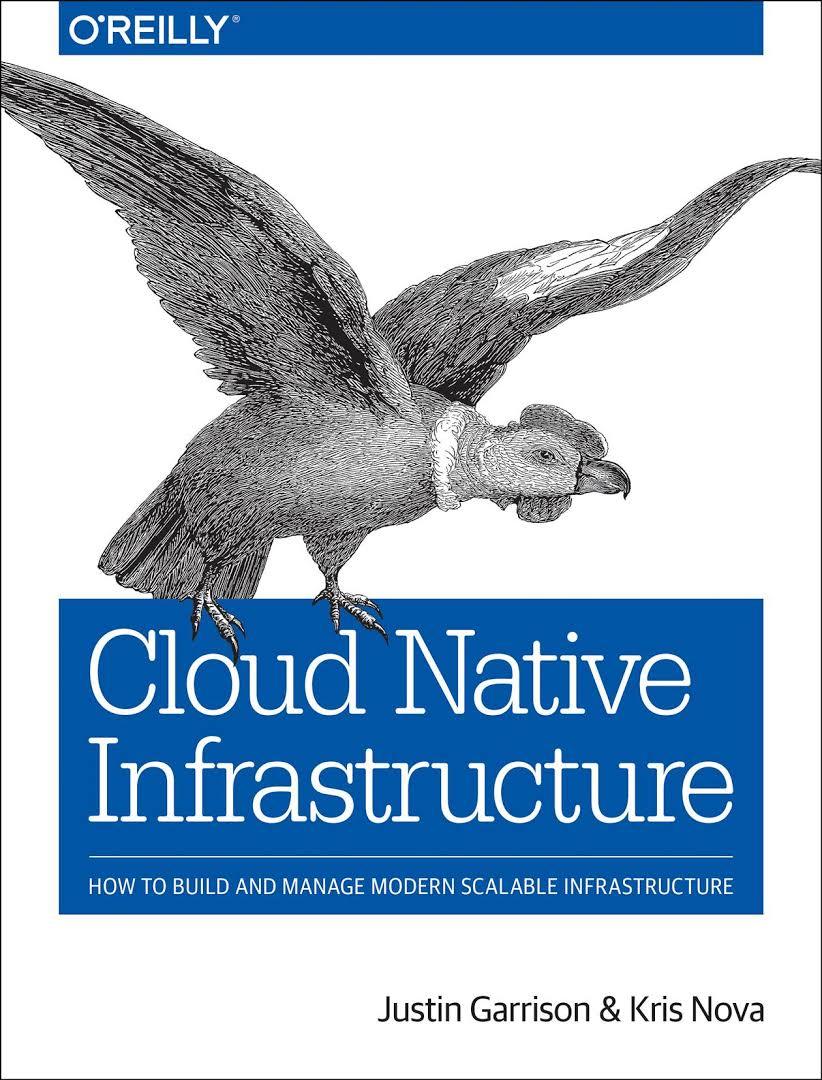 Cloud Native Infrastructure: Patterns for Scalable Infrastructure and ...