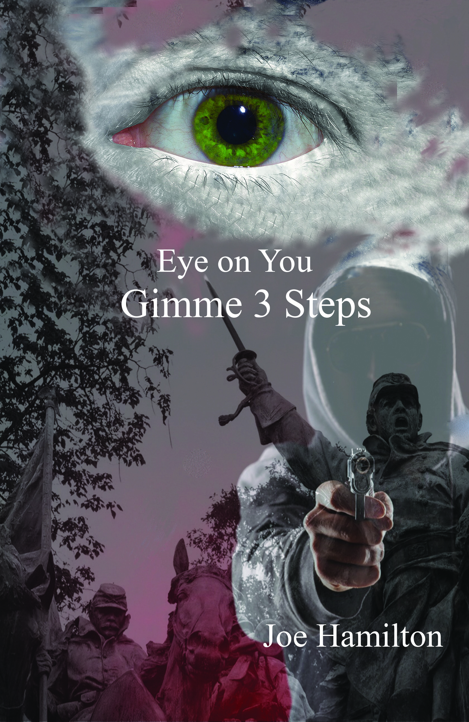Eye on You: Gimme 3 Steps (Gabriel Ross #4) by Joe Hamilton | Goodreads