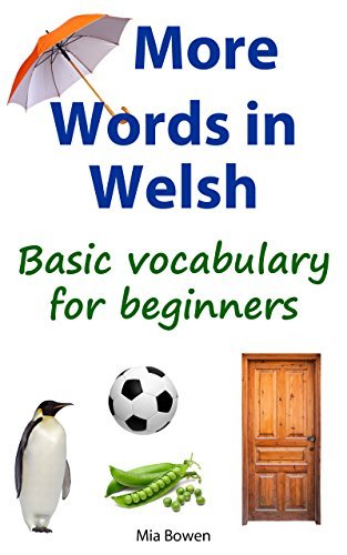 More Words in Welsh: Basic Vocabulary for Beginners by Mia Bowen ...