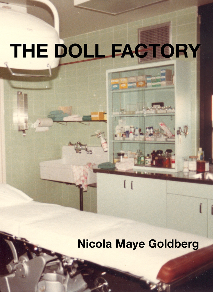 The Doll Factory by Nicola Maye Goldberg | Goodreads