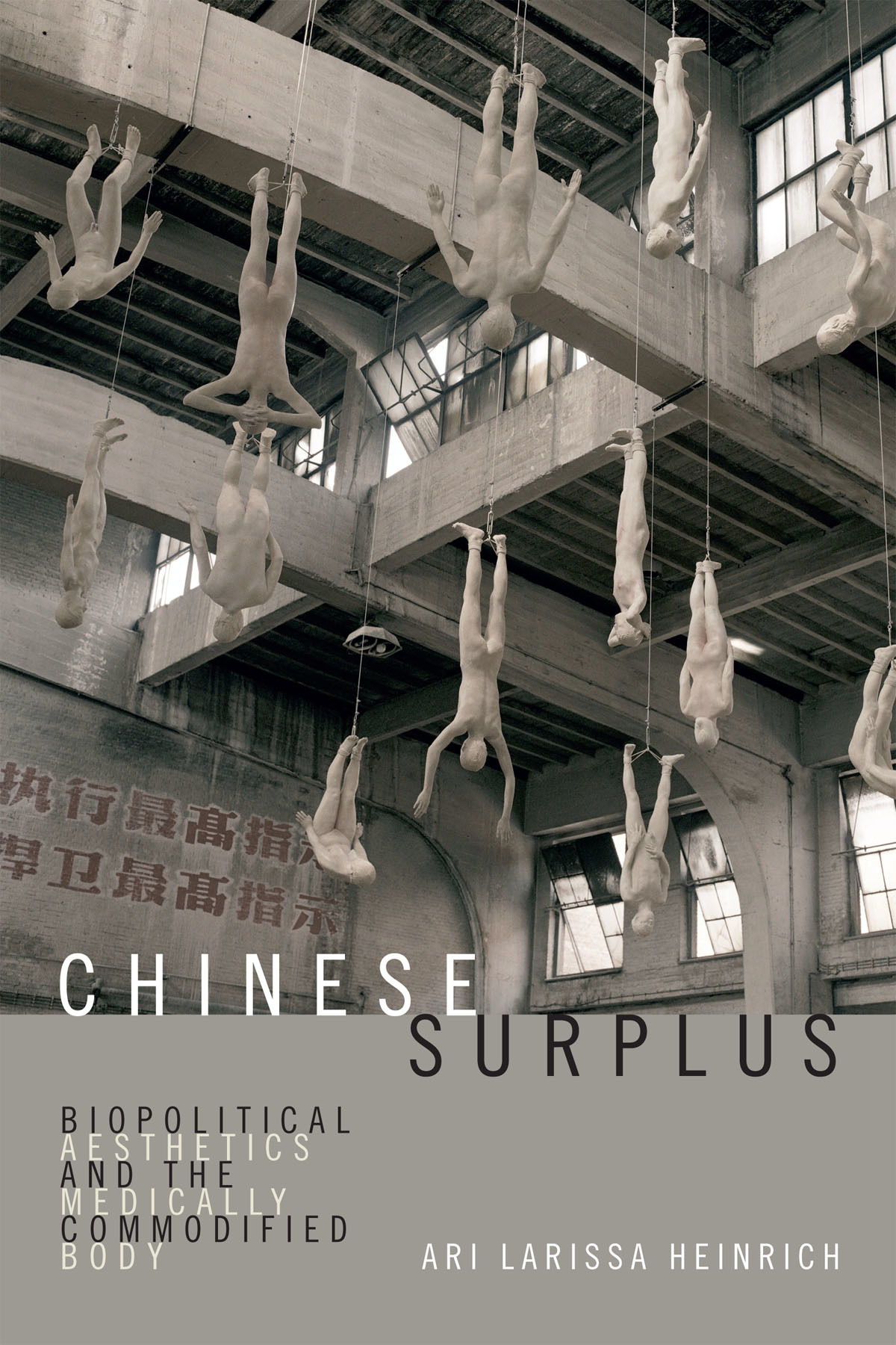 Chinese Surplus: Biopolitical Aesthetics and the Medically Commodified ...