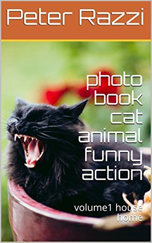 photo book cat animal funny action : volume1 house home by Peter Razzi ...