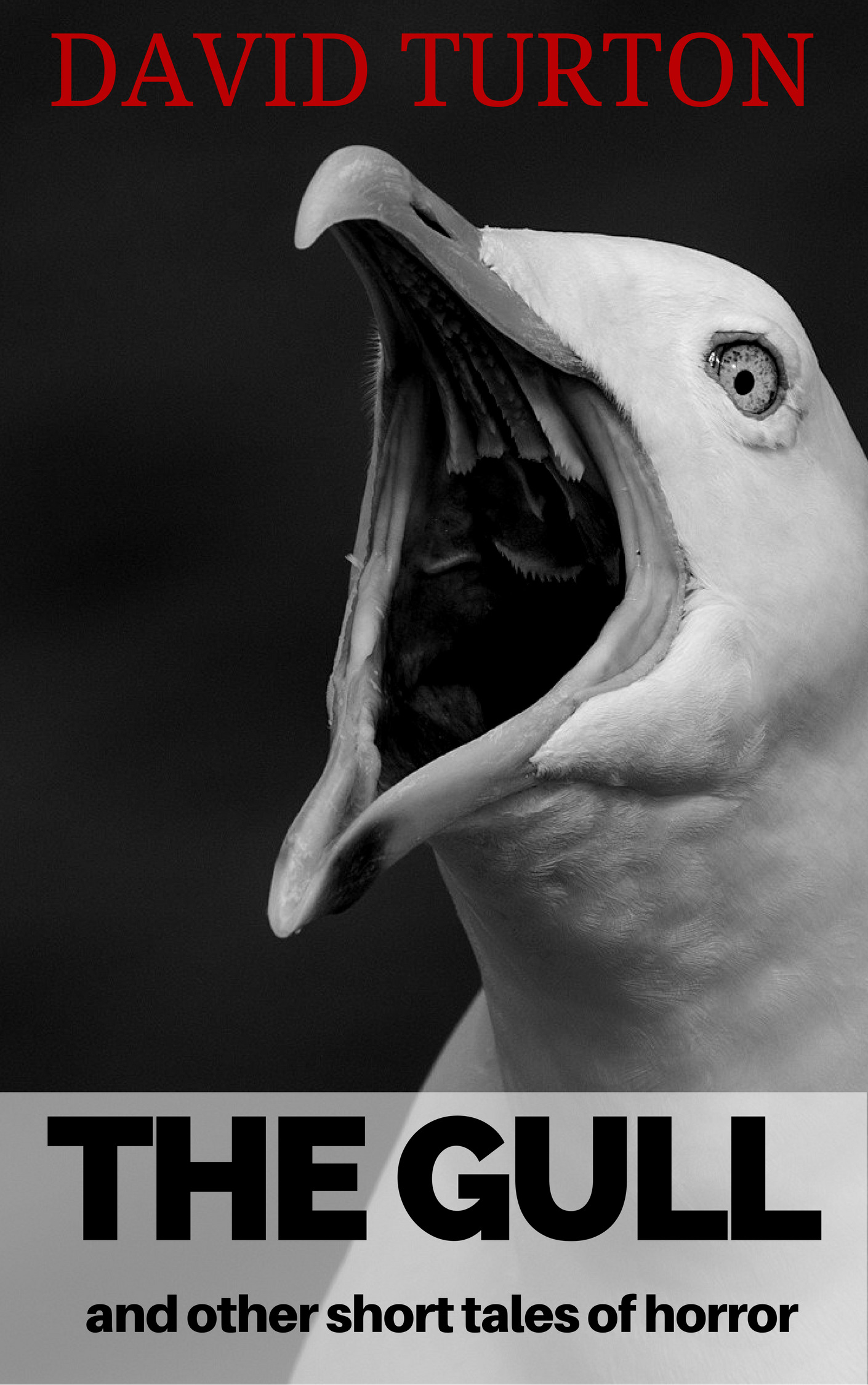 The Gull and Other Short Tales of Horror by David Turton | Goodreads